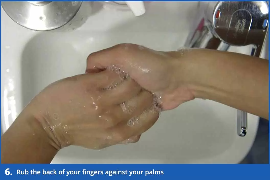 Hand-washing guide to prevent the spread of COVID-19 - News - TLTP Medical